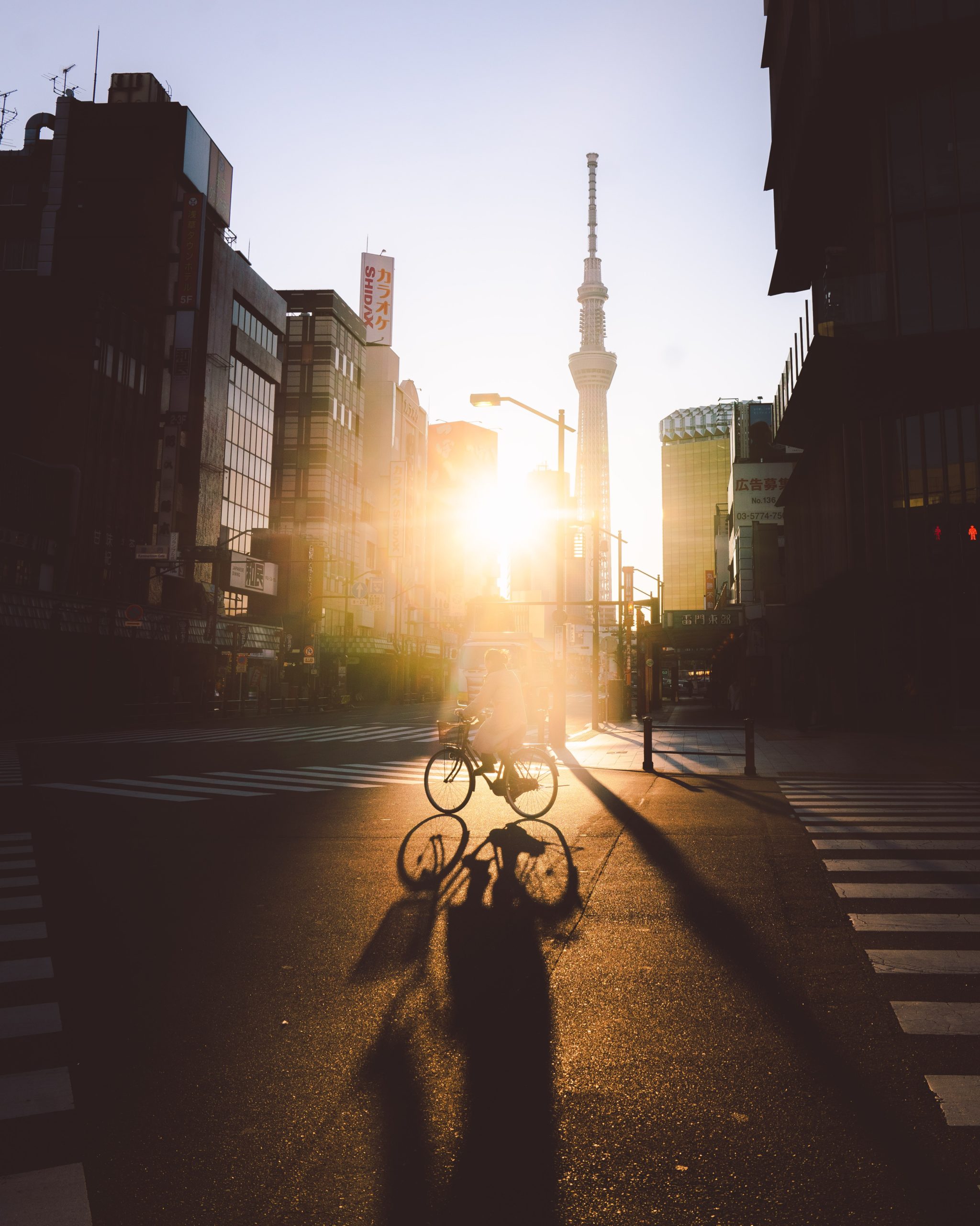 10 Years Car Free - Car Free America